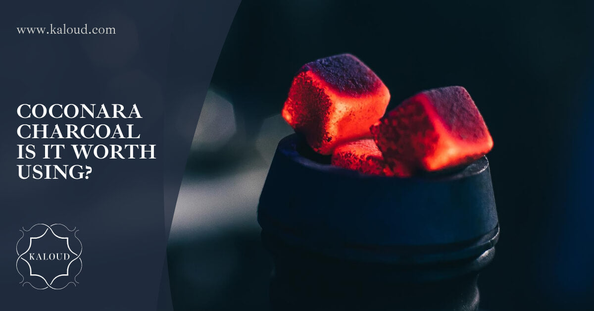 Coconara Charcoal: Is It Worth Using? – Kaloud Inc.